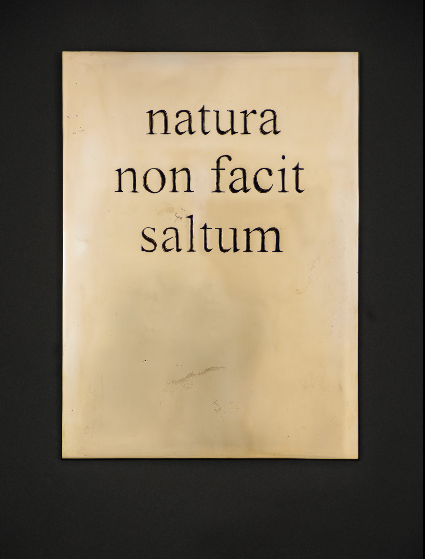 As Twere a Mirror to Nature - MATT WEIR Science Bronze Conceptual Art